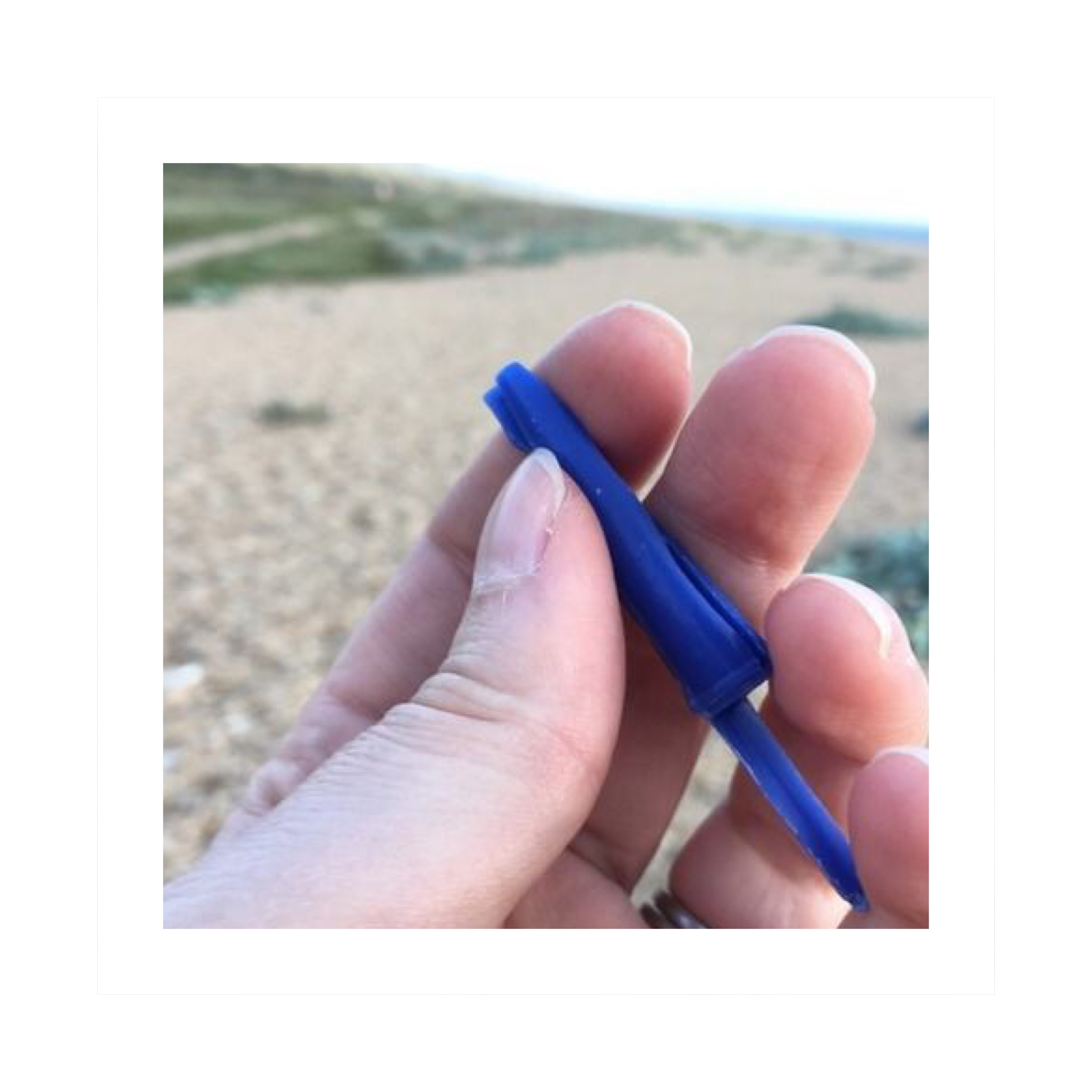 The Biro Lid – Sue Parr